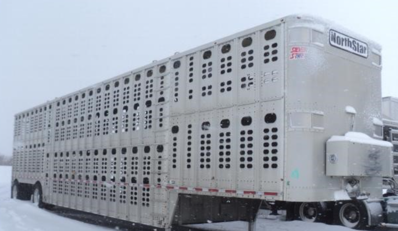 2012 Wilson Silverstar Ag Trailers Livestock Trailers for Sale | Tractor Zoom