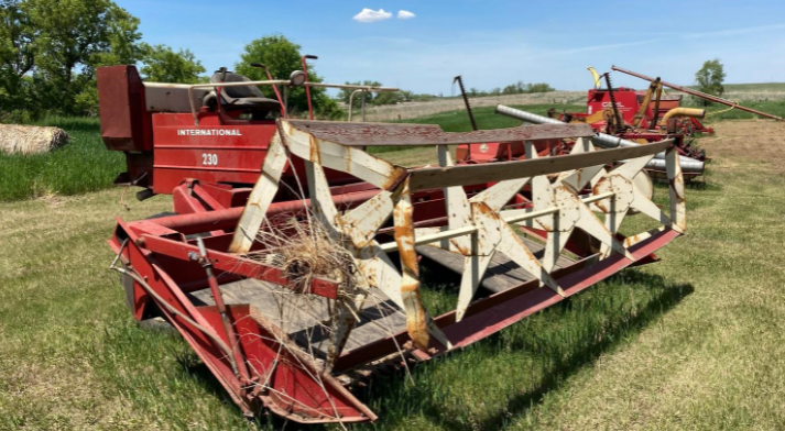 International Harvester 230 Harvesting Headers - Forage for Sale ...