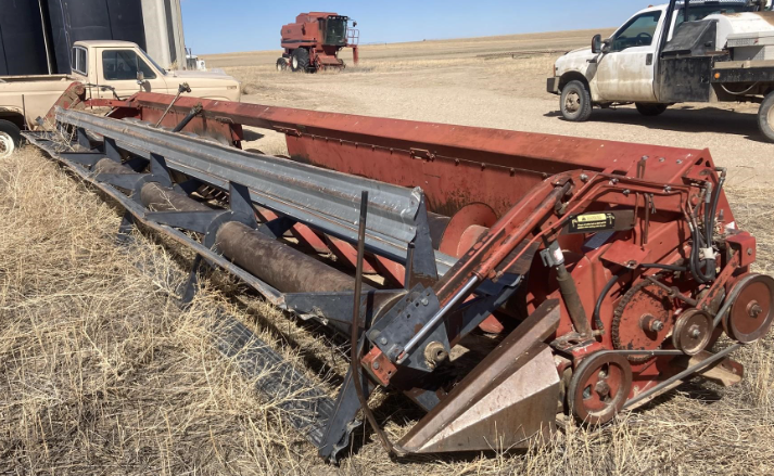Case IH 1010 Harvesting Headers - Platform for Sale | Tractor Zoom