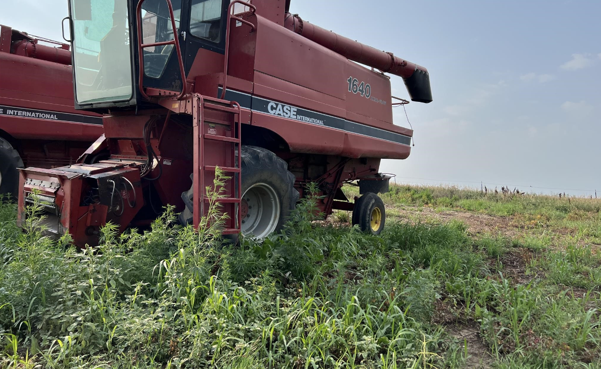 SOLD - Case IH 1640 Combines with --- Hrs | Tractor Zoom